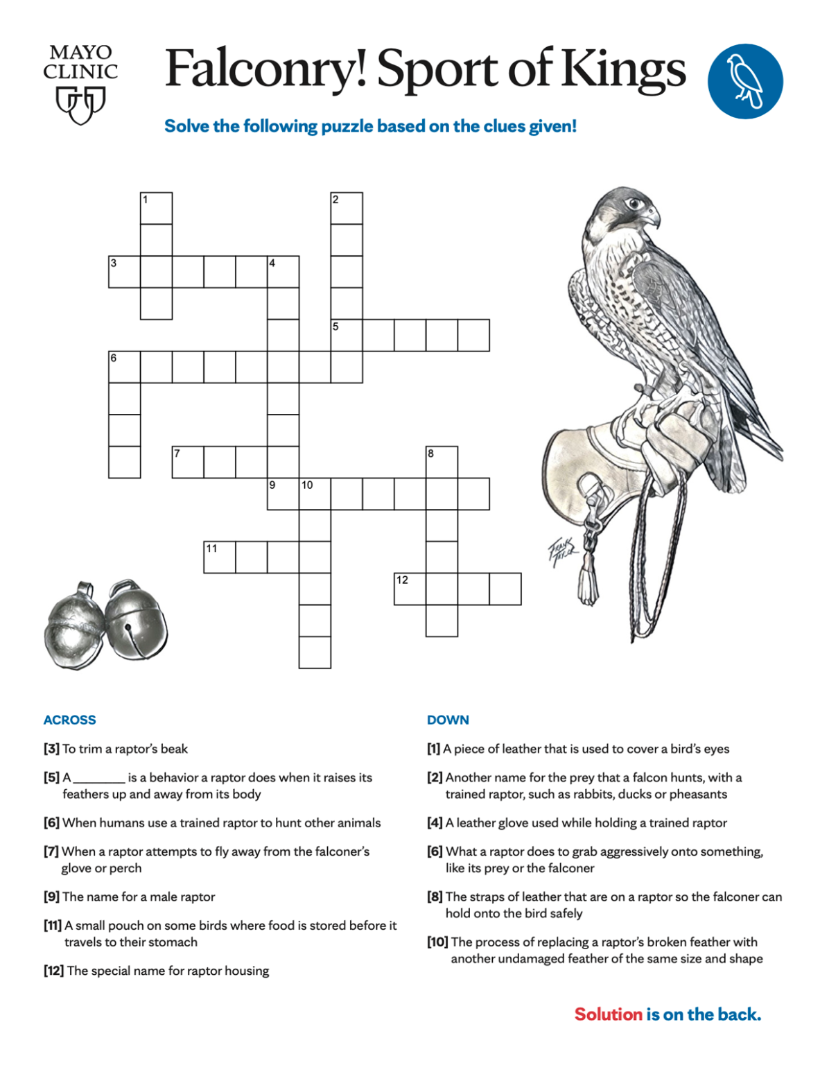 Mayo Clinic Falcon Program Downloads | Mayo Clinic History & Heritage