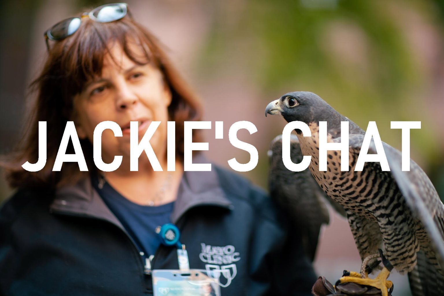 Born in a Storm: The Tornado That Gave Rise to Mayo Clinic | Films ...