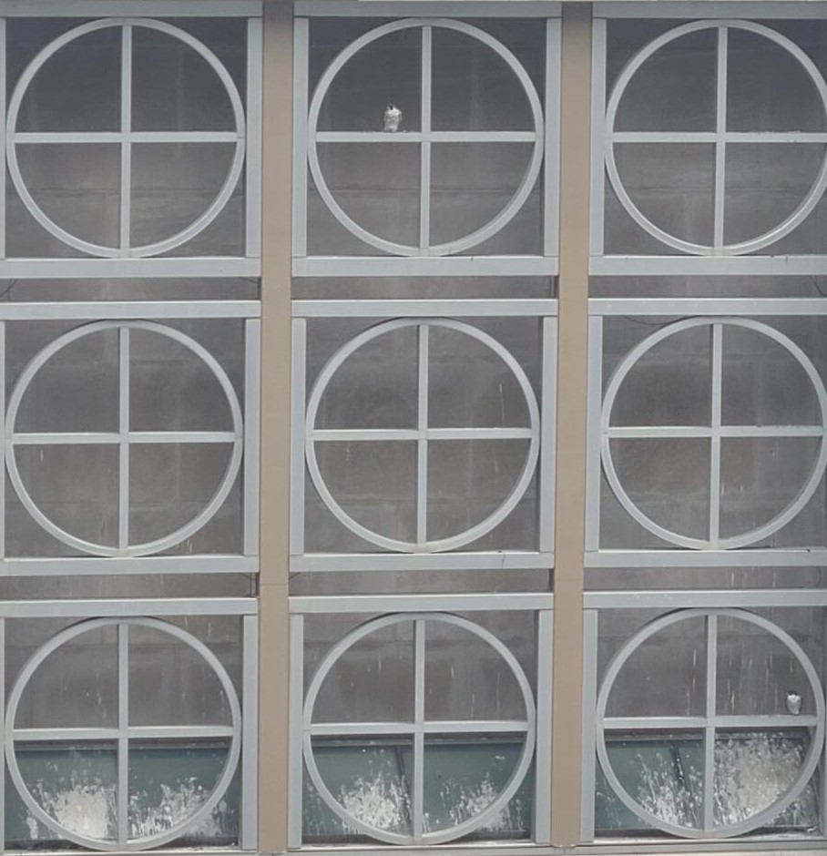 Mayo Clinic Falcon Program Recap 2024